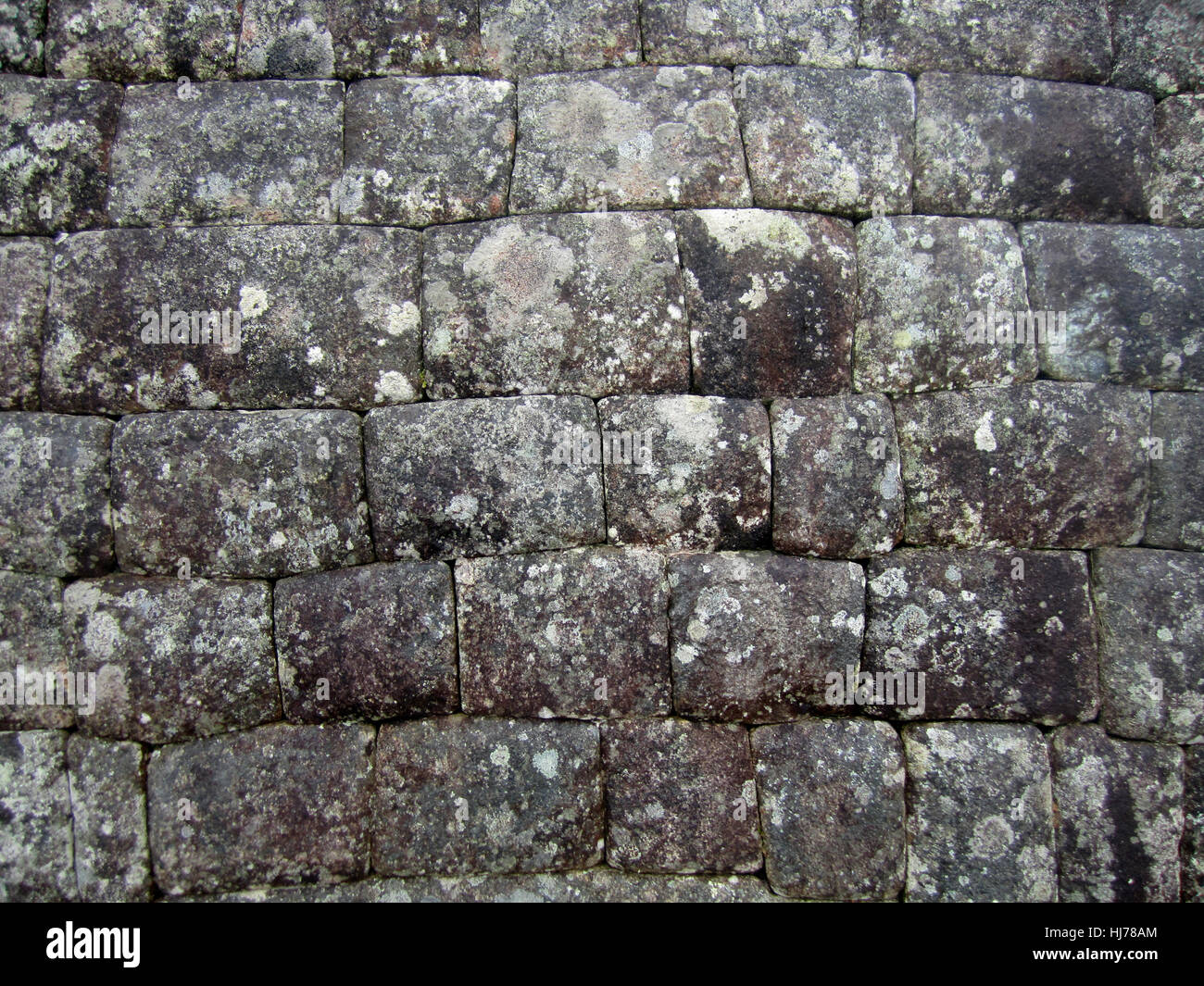 Wiry texture hi-res stock photography and images - Alamy