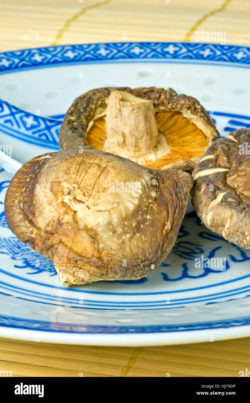 asiatic, chinese, asiatic, noble, spicy, mushroom, fungus, chinese ...
