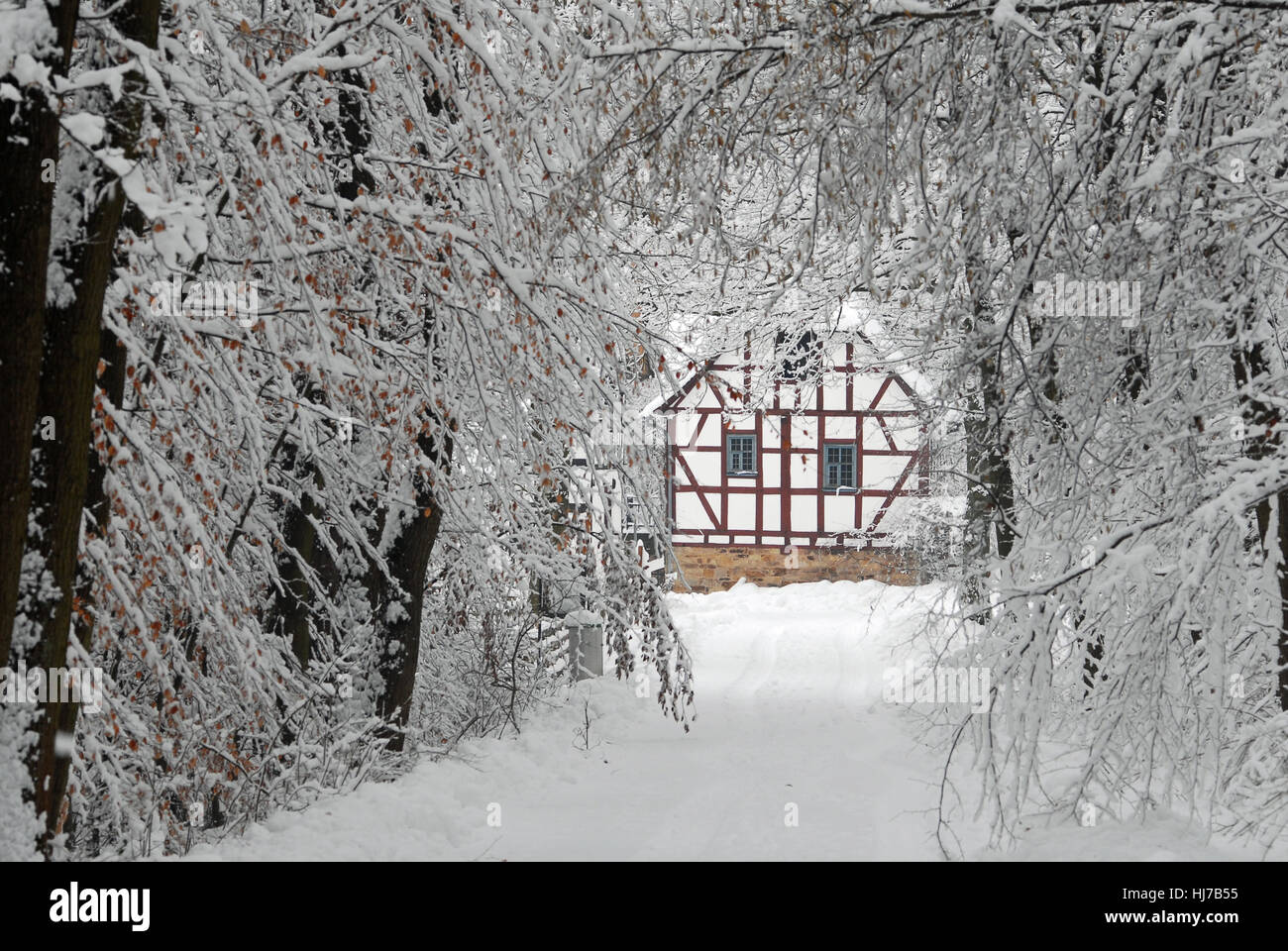 house, building, winter, wintry, snow, house, building, tree, trees ...