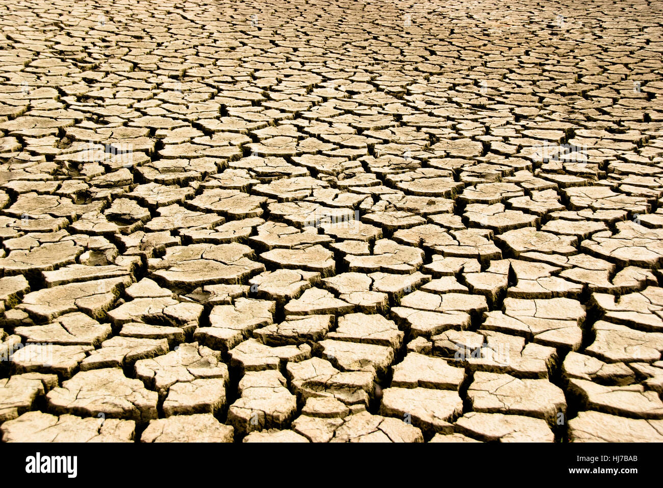 detail, environment, enviroment, closeup, garden, desert, wasteland ...