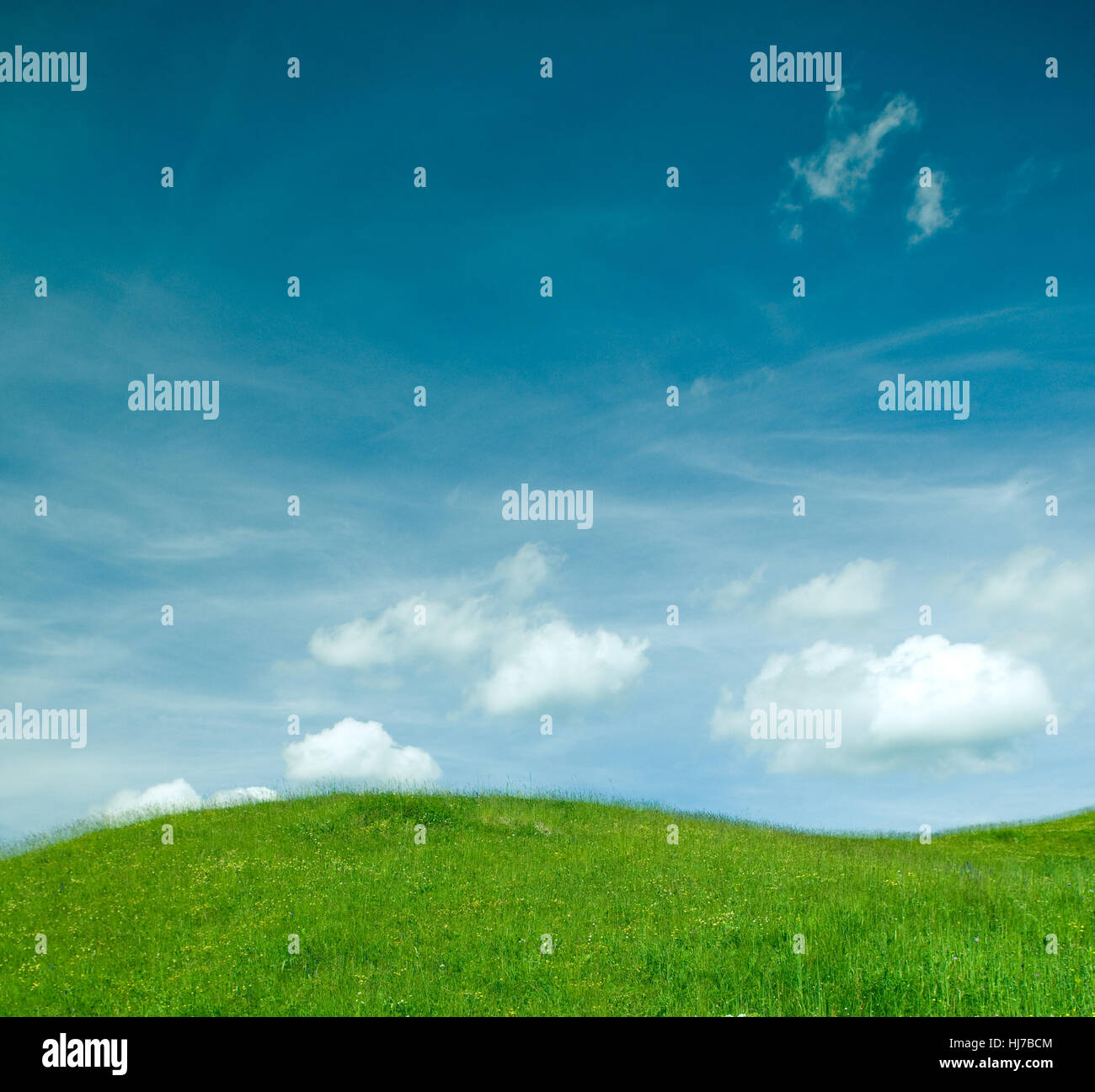 blue, beautiful, beauteously, nice, horizon, ground, soil, earth, humus ...