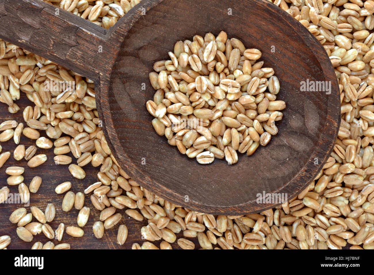 Spelt grain over wooden spoon Stock Photo - Alamy