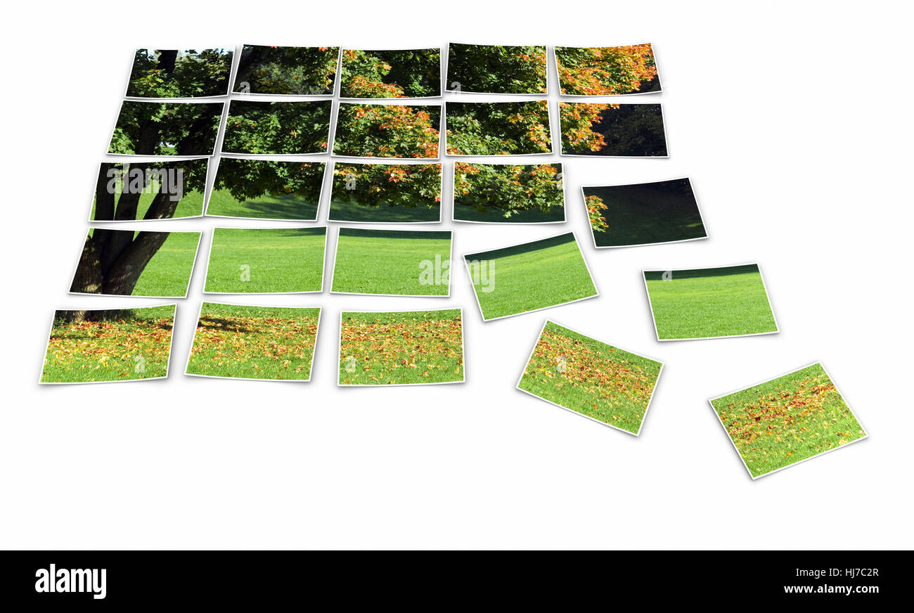 model, design, project, concept, plan, draft, jigsaw, puzzle, jigsaw ...