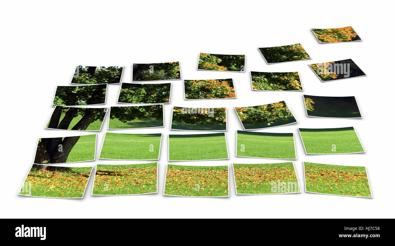 model, design, project, concept, plan, draft, jigsaw, puzzle, jigsaw ...