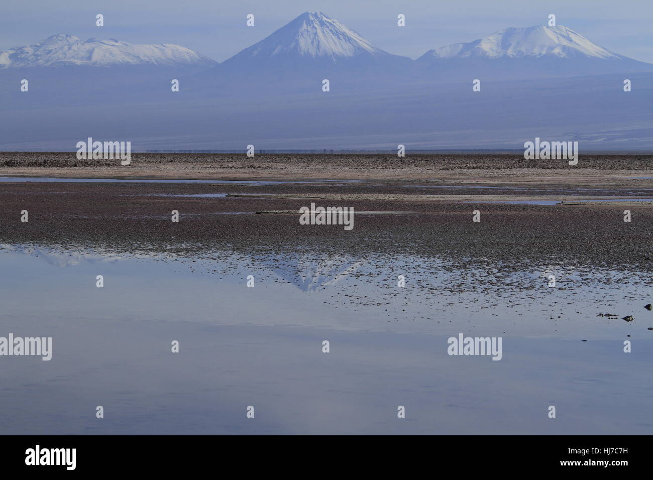 blue, salt, bird, green, america, oasis, south, chile, mud, sight, view ...