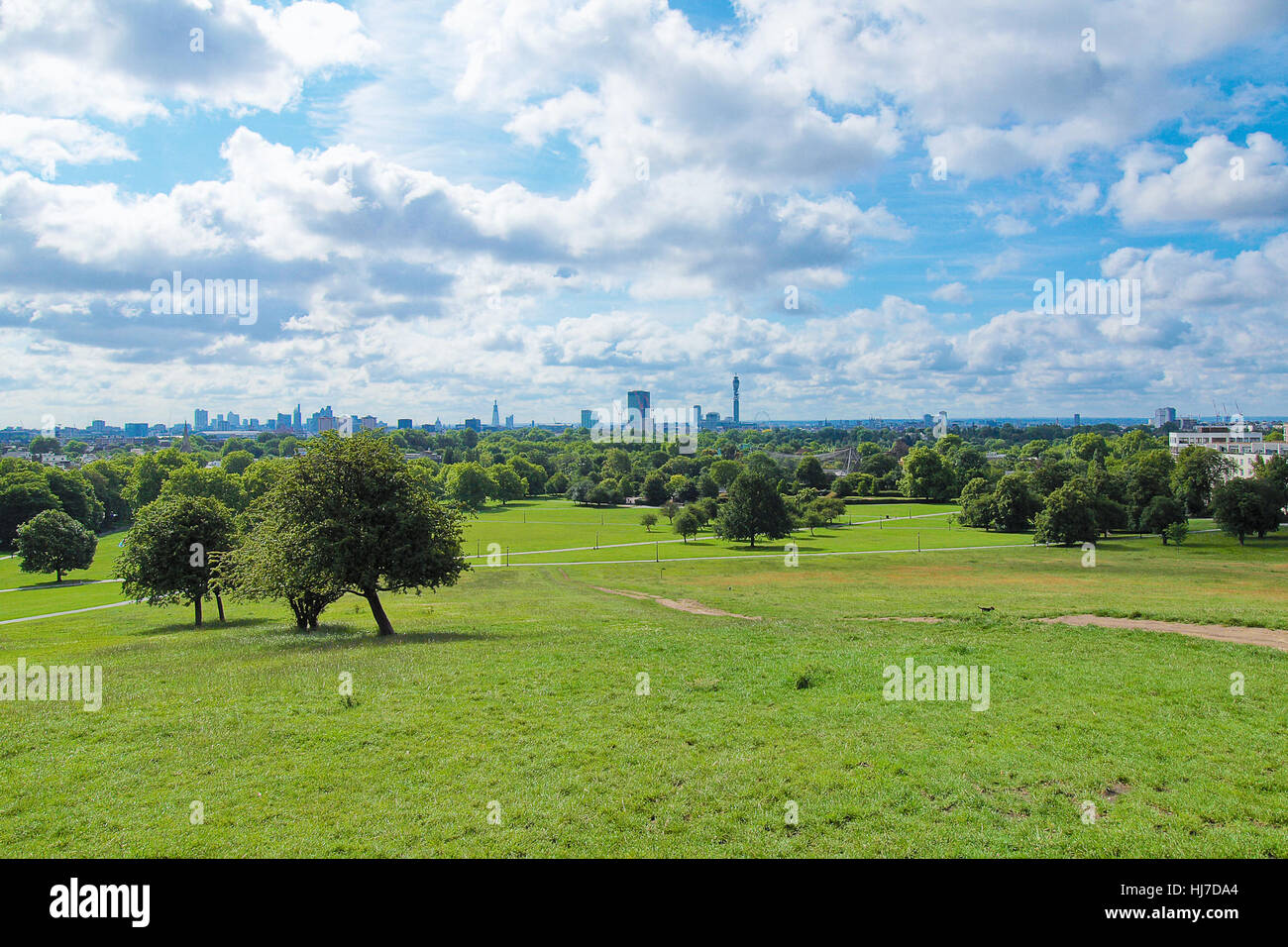 blue, europe, england, british, britain, english, meadow, grass, lawn ...