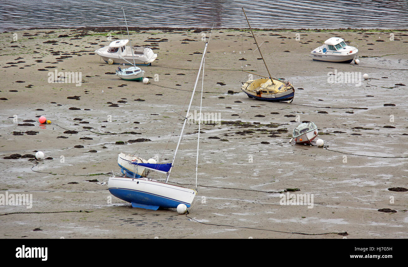 atlantic ocean, salt water, sea, ocean, water, brittany, low tide ...
