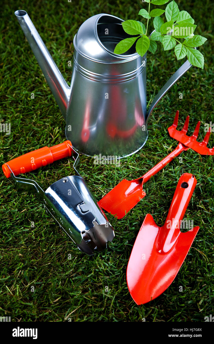 garden, flower, plant, spring, ecology, gardening, equipment, nature ...