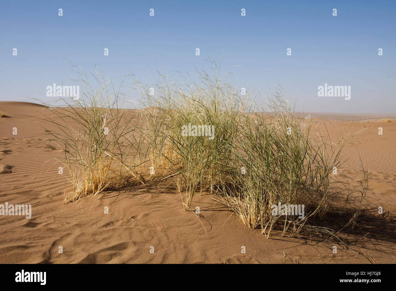 travel, desert, wasteland, dunes, dune, iran, landscape, scenery ...