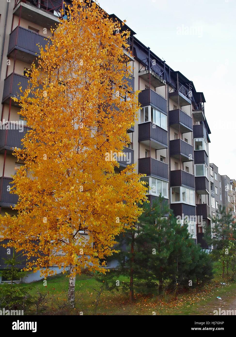 city, town, season, orange, nature, fall, autumn, house, building ...