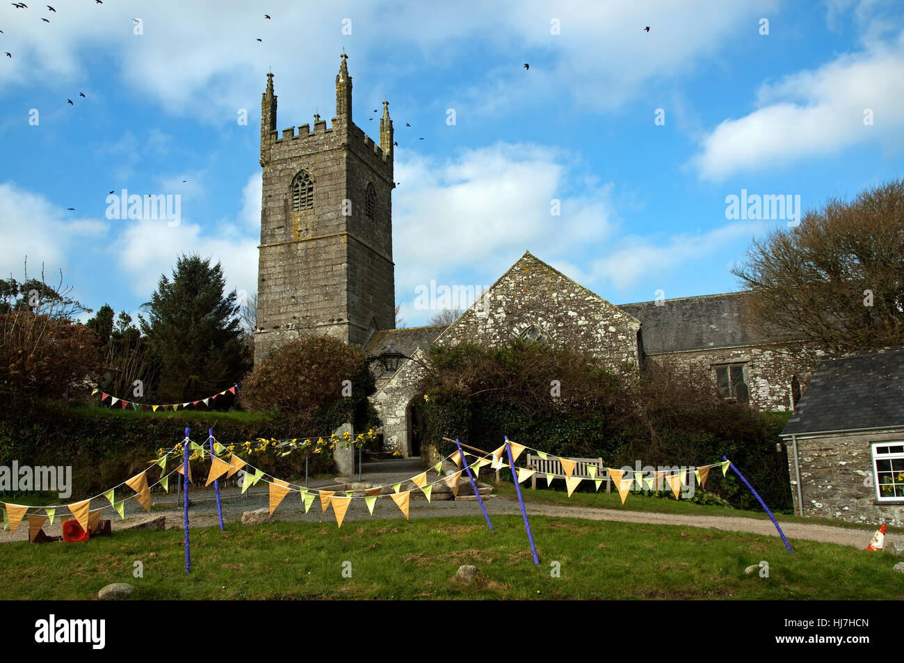 church, lizard, chapel, flower, flowers, plant, daffodils, old, rural ...