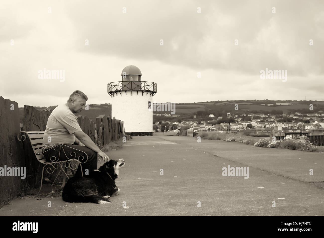 pet, male, masculine, dog, put, sitting, sit, facilitate, ease, resting ...