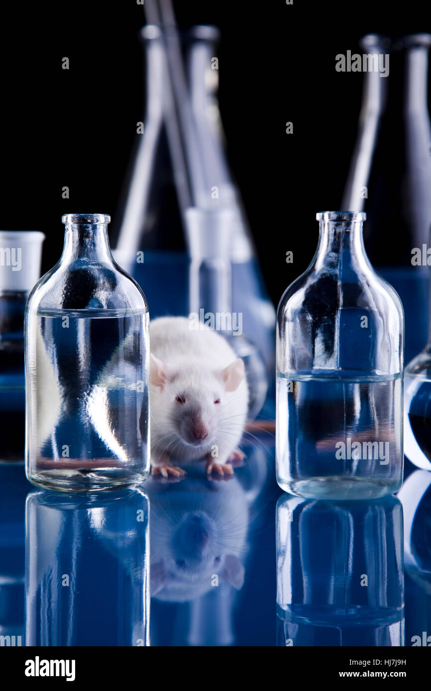 Rat test water hi-res stock photography and images - Alamy