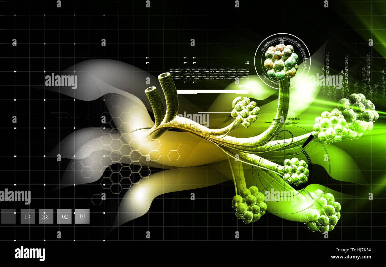 blue, education, health, medicinally, medical, graphics, colour ...