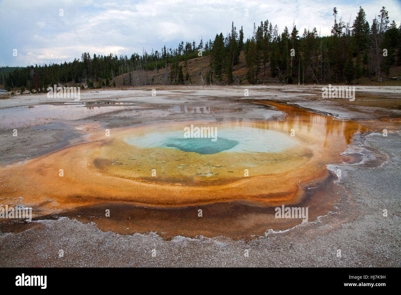 thermal springs, resources, microorganisms, geyser, blue, travel ...