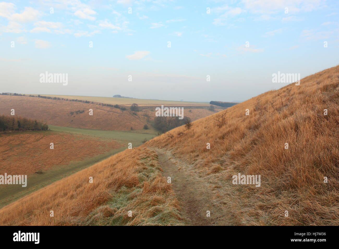 English winter landscape with a track through the frosted grassy ...