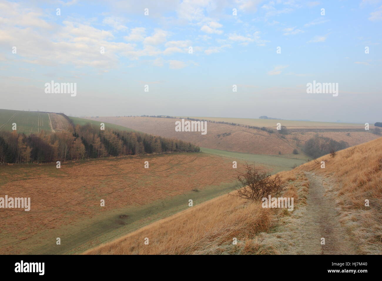 English winter landscape with frosted valleys, hawthorn bush and ...