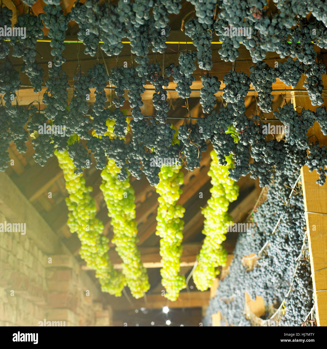 Production processes hi-res stock photography and images - Alamy
