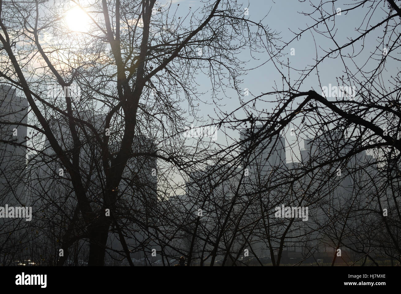 Modern residential building seen through bare tree branches in fall ...