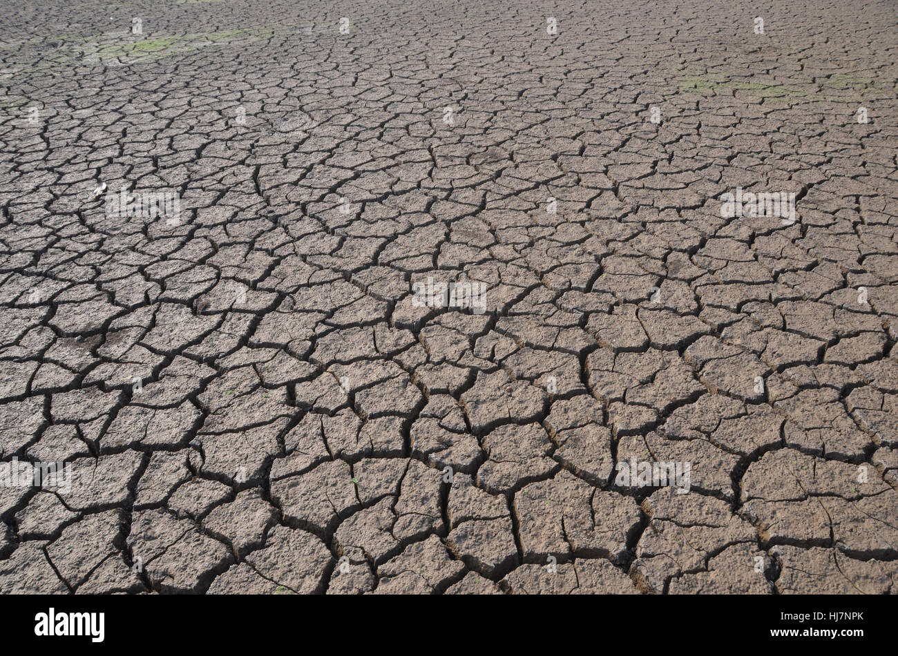 environment, enviroment, closeup, desert, wasteland, ground, soil ...