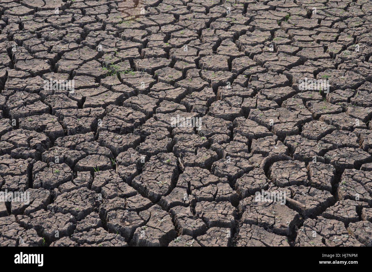 environment, enviroment, closeup, desert, wasteland, ground, soil ...