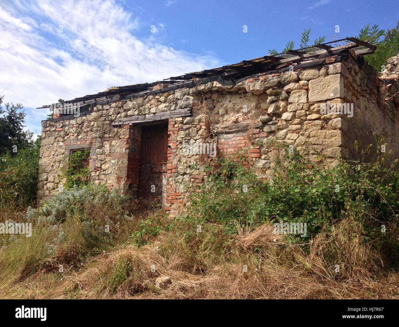 Ruin of stone cottage with overgrown vegetation on the top of the ...