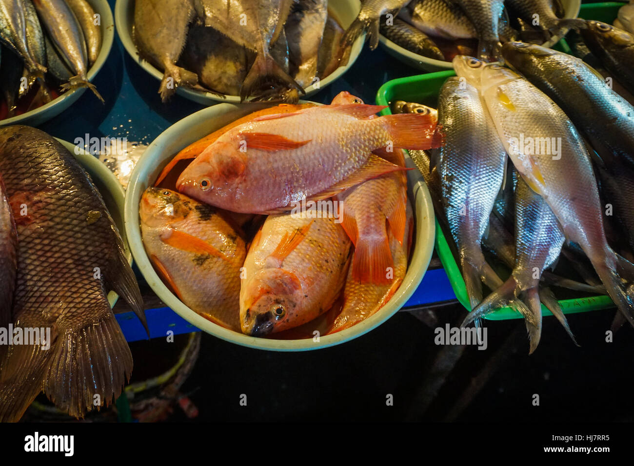 Pasar ikan fish market, hi-res stock photography and images - Alamy