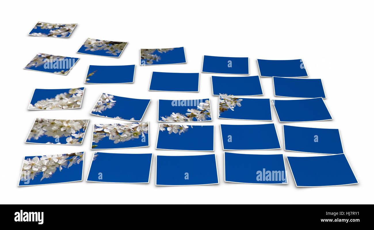 model, design, project, concept, plan, draft, jigsaw, puzzle, jigsaw ...