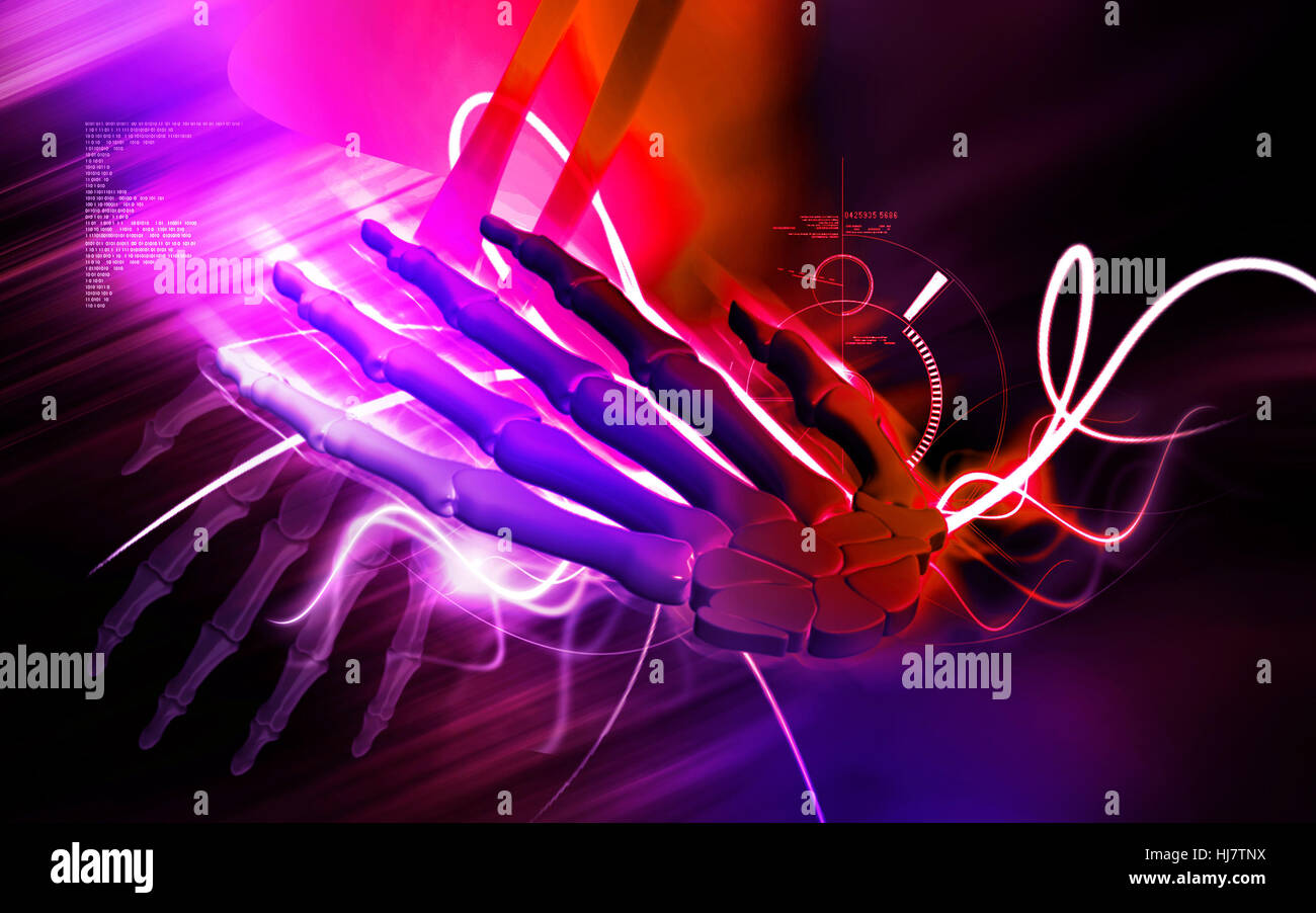 Digital medical illustration human wrist hi-res stock photography and ...