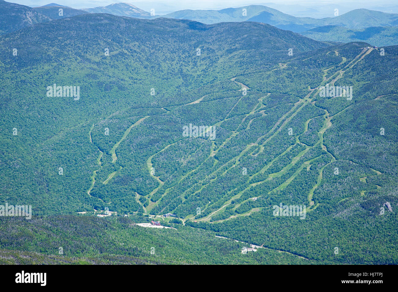 Wildcat Ski Mountain from the Alpine Garden Trail in the White ...