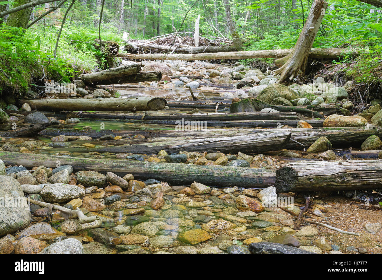 Location of a spur line off the East Branch & Lincoln Logging Railroad ...