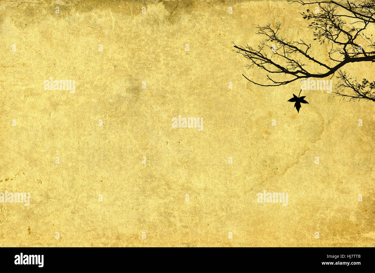 Ragged end hi-res stock photography and images - Alamy
