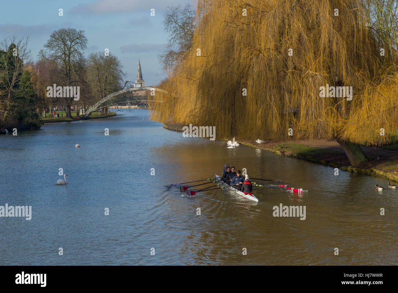 A boat with rowers rowing or sculling along a river in the middle of a ...
