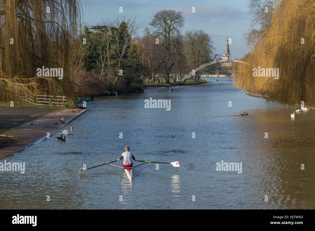 A single rower rowing or sculling along a river in the middle of a town ...