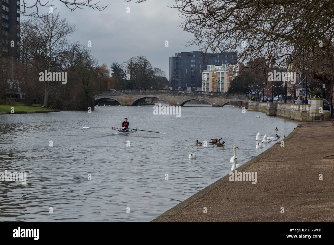 A single rower rowing or sculling along a river in the middle of a town ...