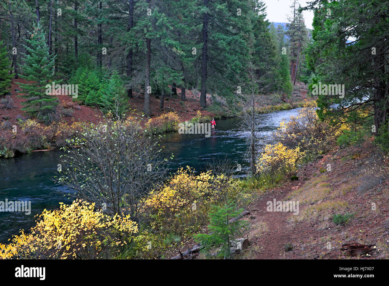 Metolius river hi-res stock photography and images - Alamy