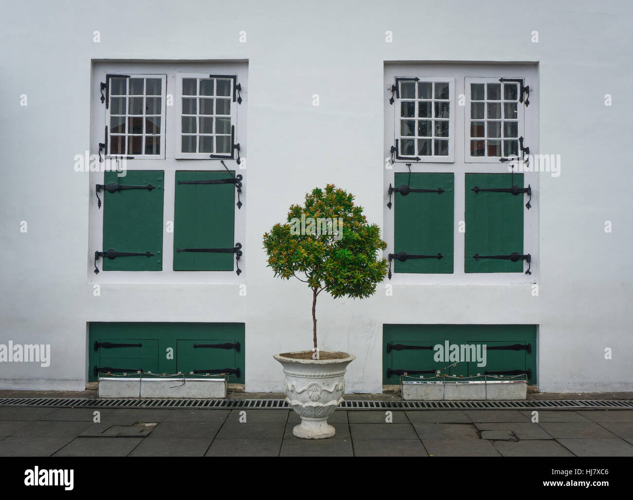 Two identical green windows with a tree in the middle photo taken in ...