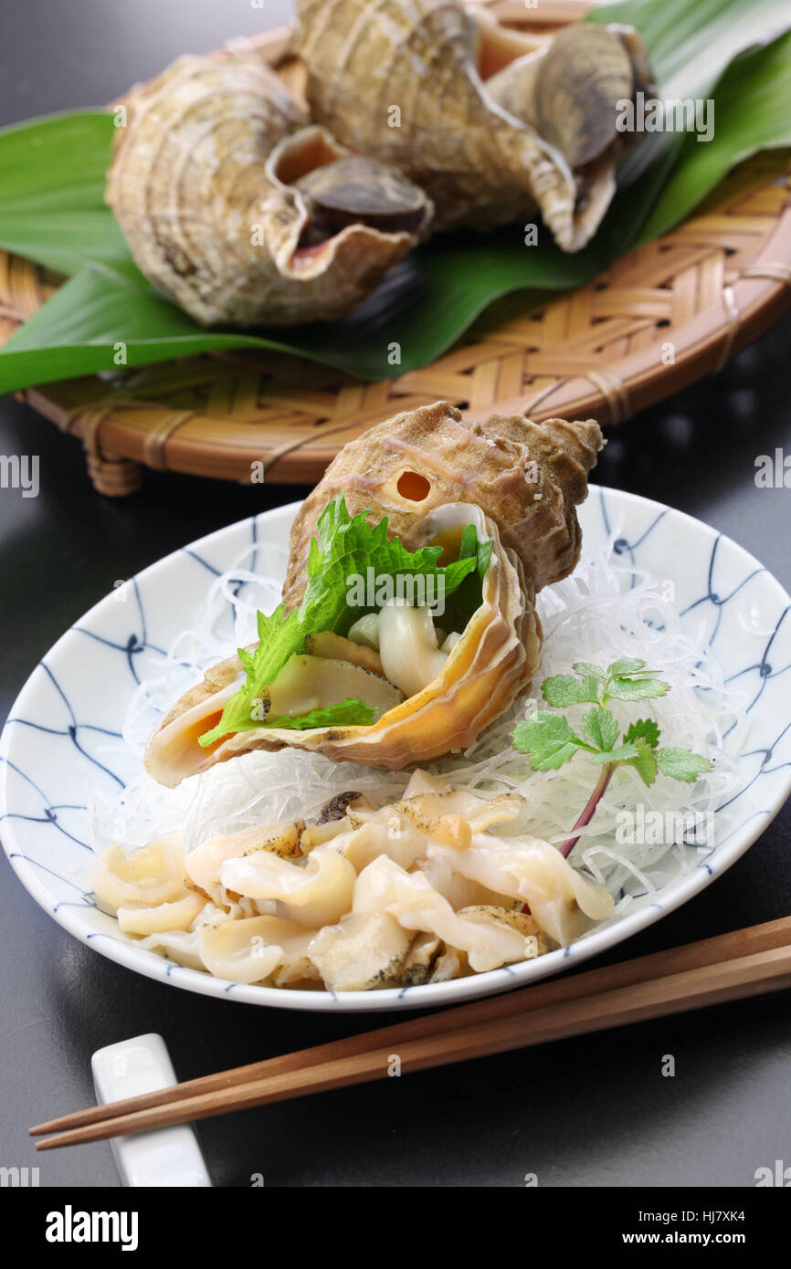 Japanese whelk hi-res stock photography and images - Alamy