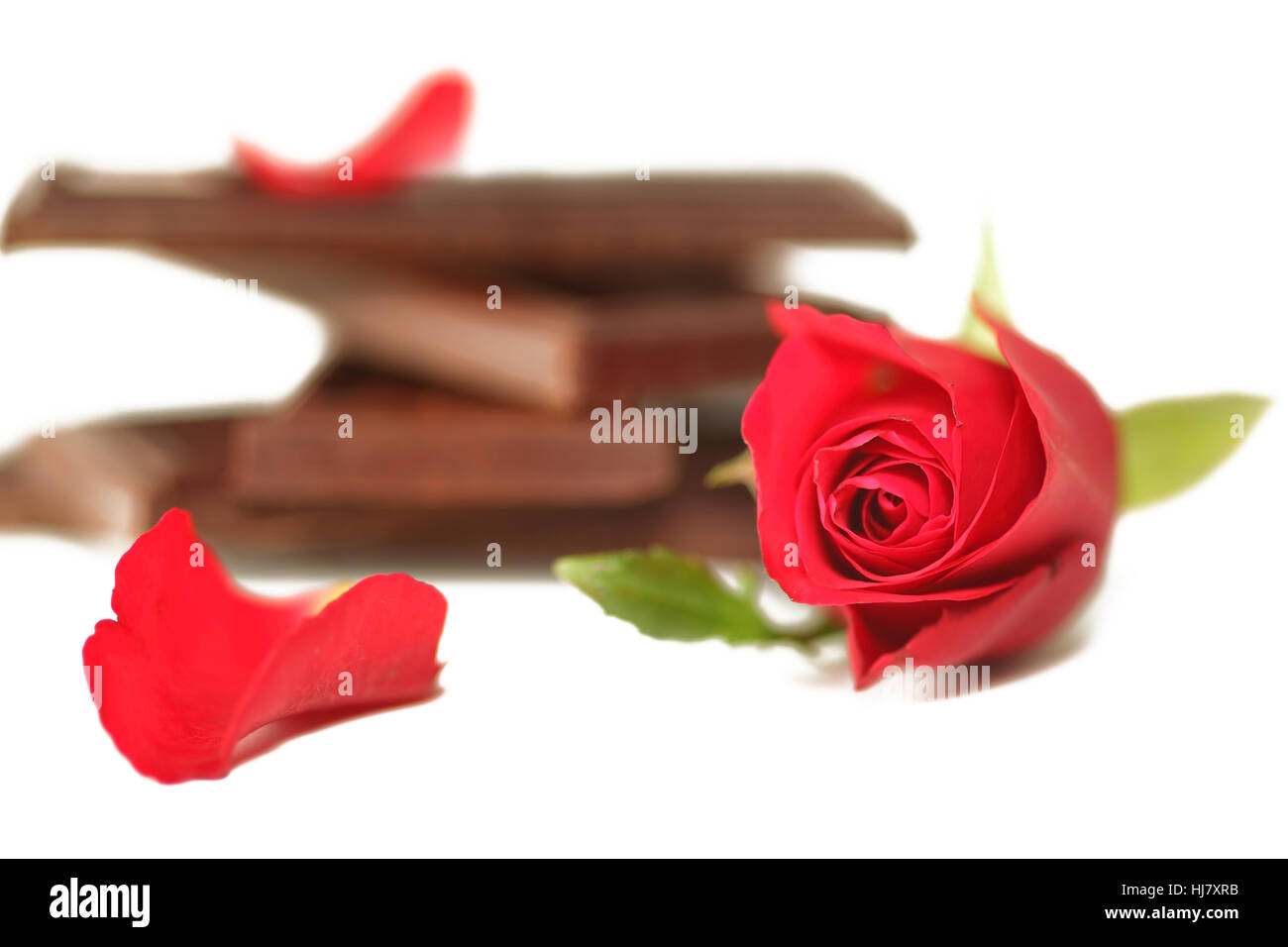 sweets, flower, plant, rose, romantic, tasty, dessert, red, chocolate ...
