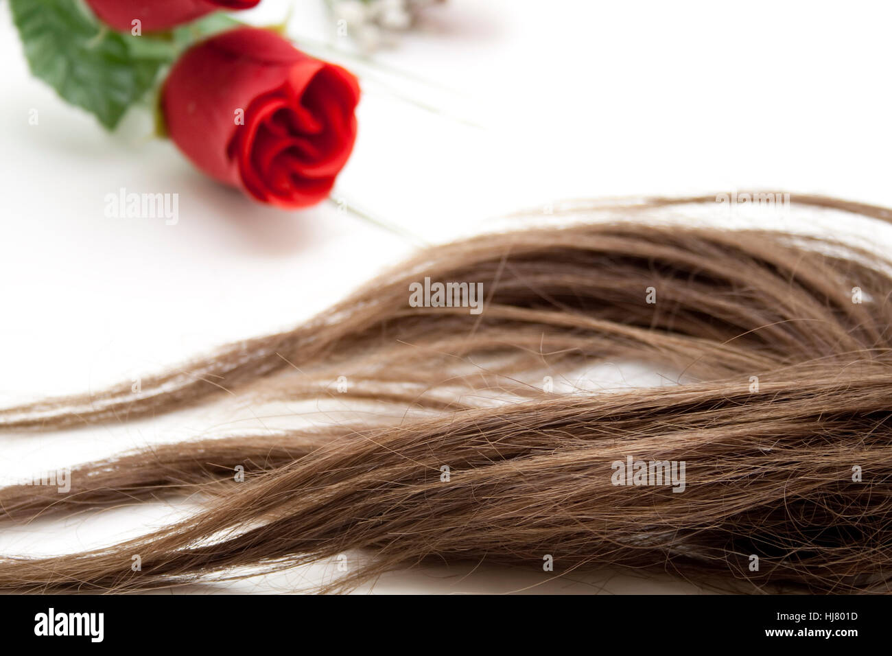hair with rose Stock Photo - Alamy