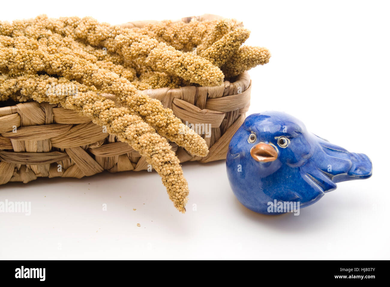 birds millet with basket Stock Photo - Alamy