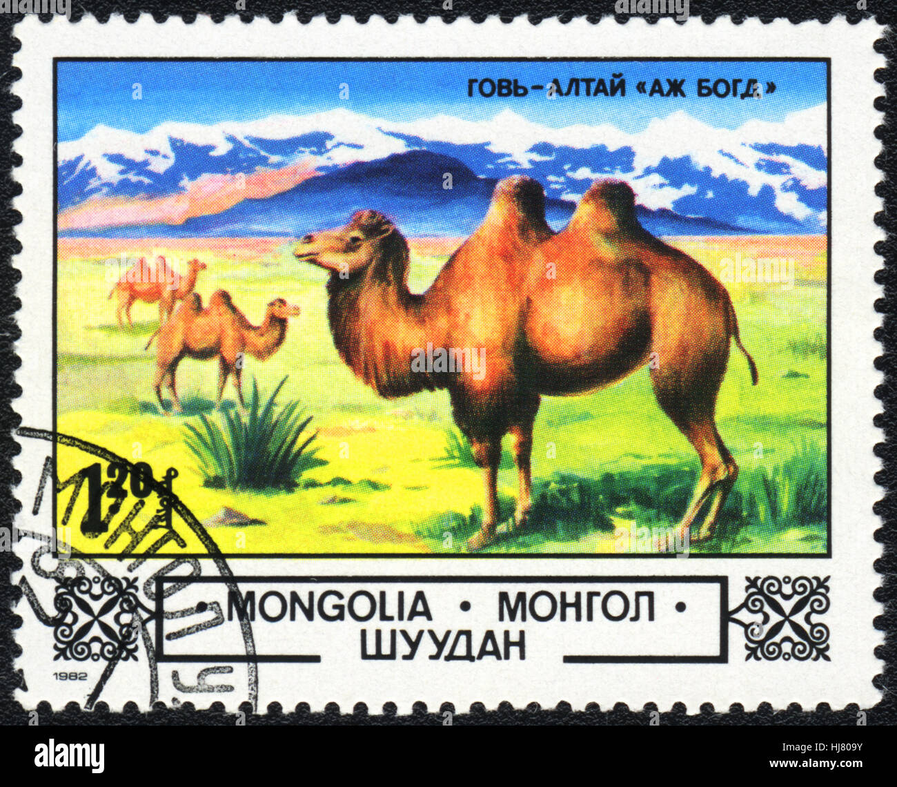 Mongolia camel stamp hi-res stock photography and images - Alamy
