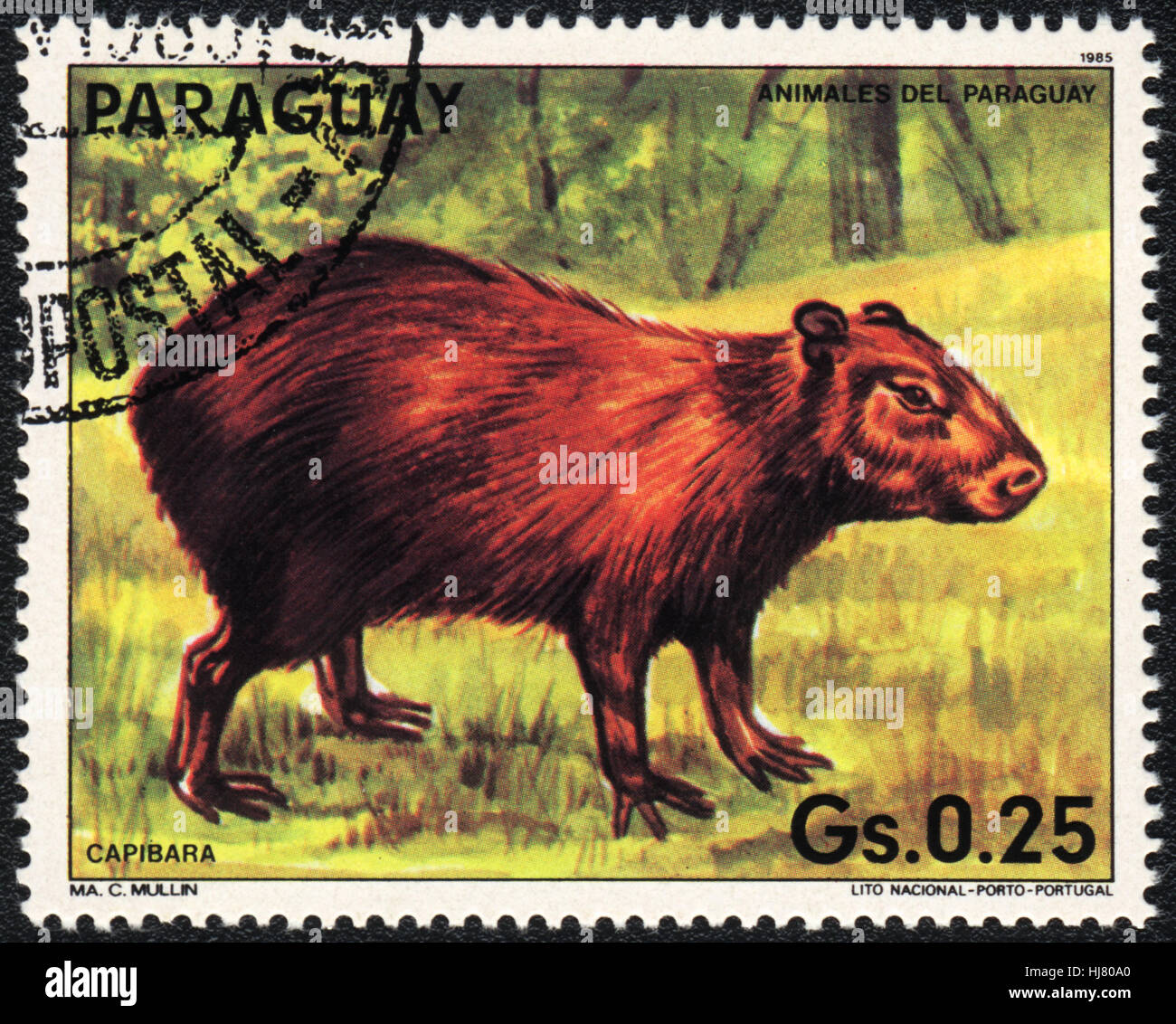 A postage stamp printed in Paraguay shows a capybara , 1985 Stock Photo ...