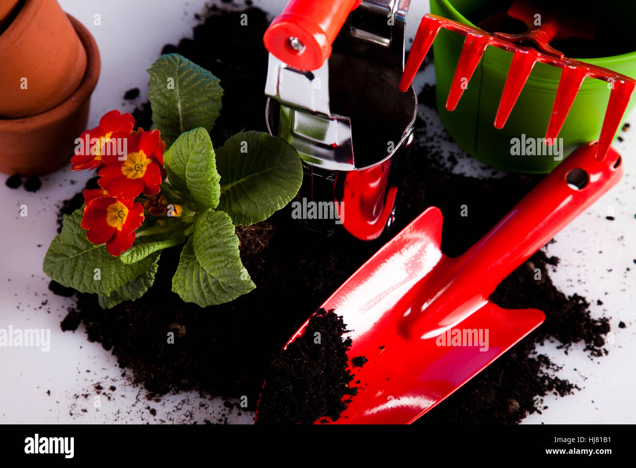 leaf, garden, flower, plant, spring, gardening, assorted, lawn, green ...
