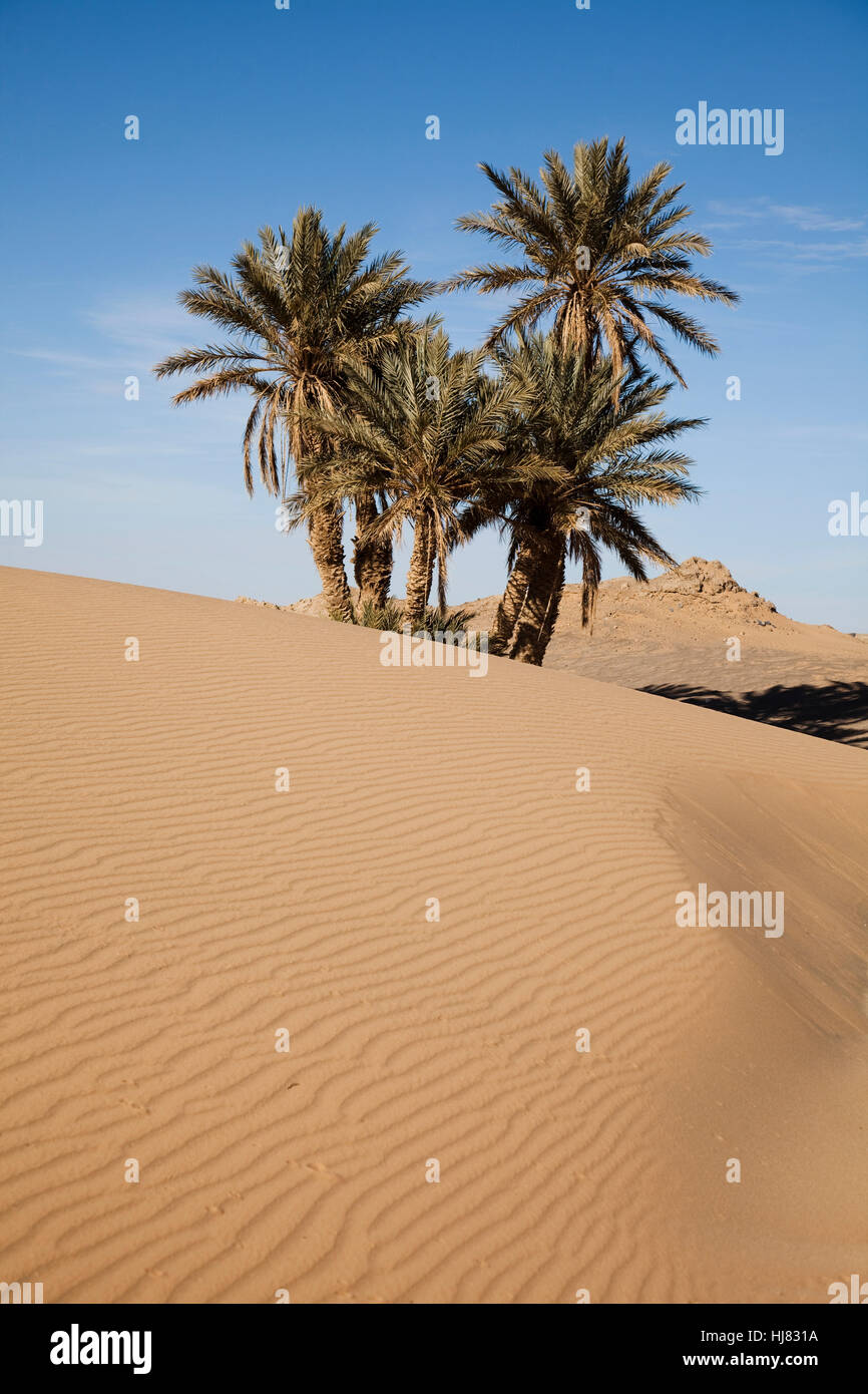 desert, wasteland, africa, dune, morocco, landscape, scenery ...