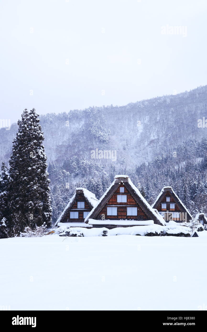 house, building, travel, historical, culture, famous, tree, winter ...