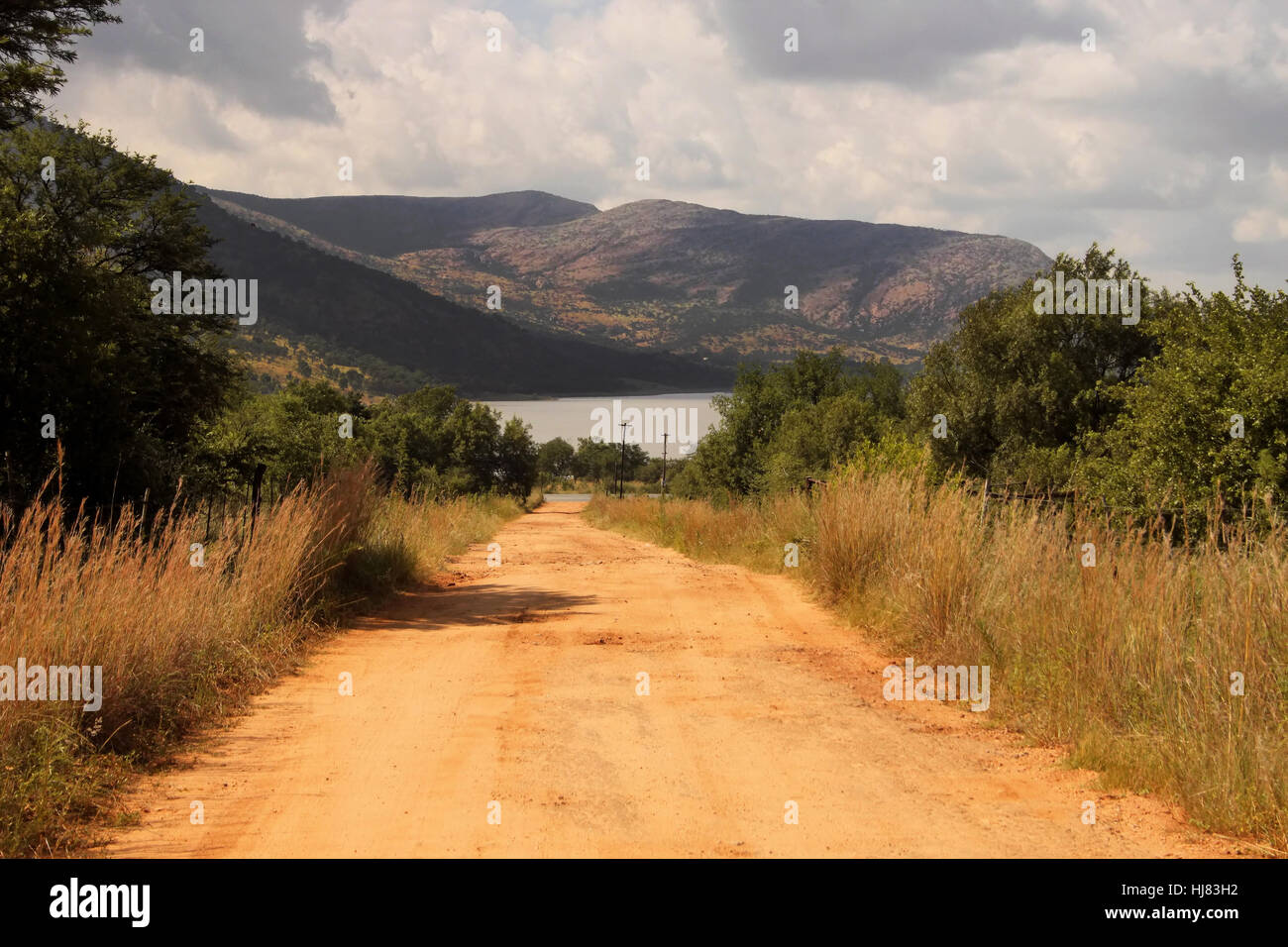 summer, summerly, south africa, landscape, scenery, countryside, nature ...