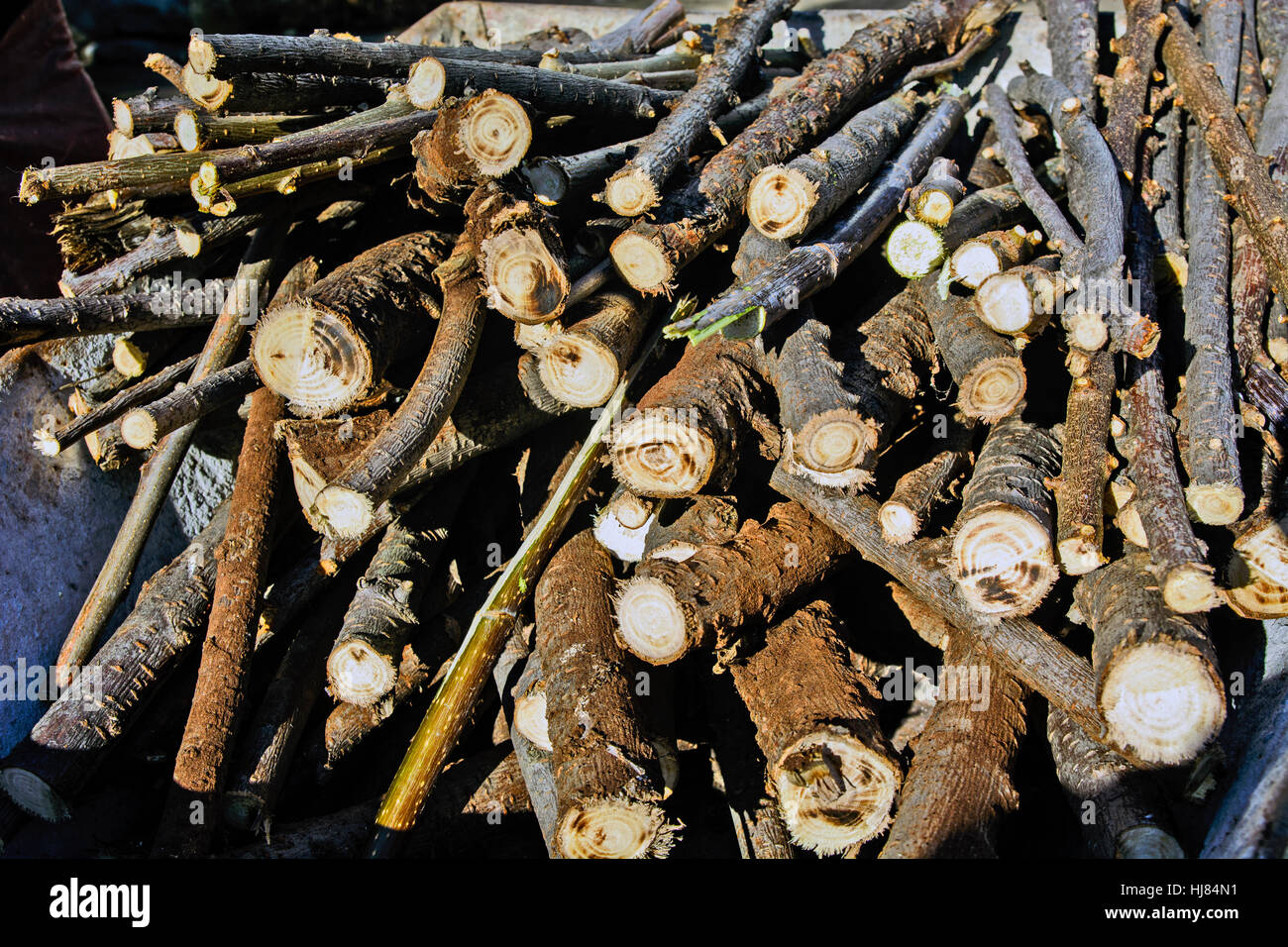 Log wheelbarrow wood hi-res stock photography and images - Alamy