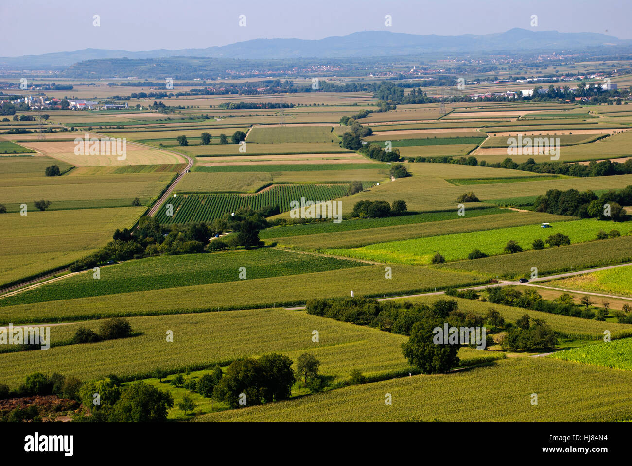 food, aliment, agricultural, tree, agriculture, farming, field, germany ...