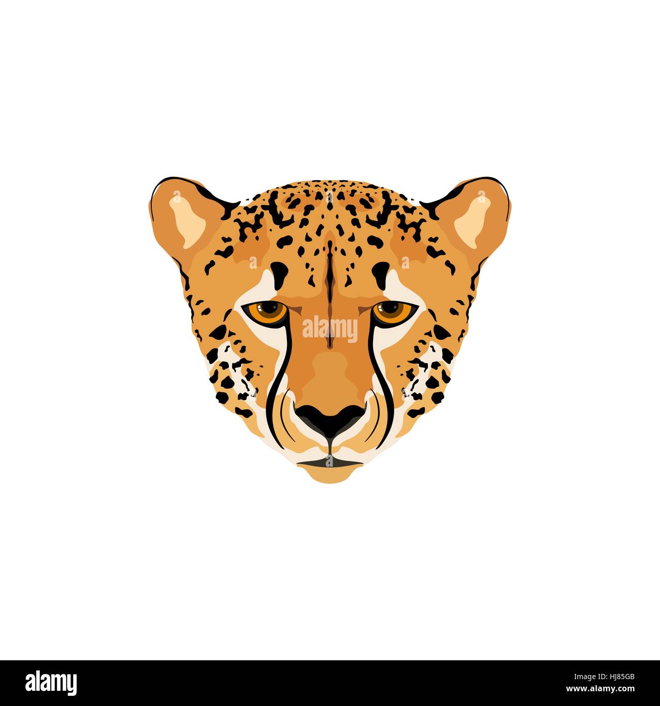 Cheetah Head Tattoo